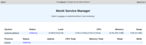 Installing and Configuring ‘Monit’ to Automate Server Monitoring and Maintenance — RackNerd
