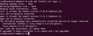 How to Install X-Ray Panel on a Linux Server — RackNerd